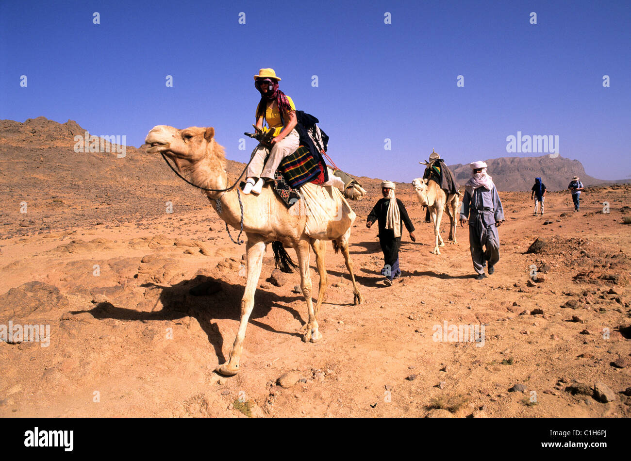 Algeria, Sahara, camel ride in the Hoggar Stock Photo - Alamy