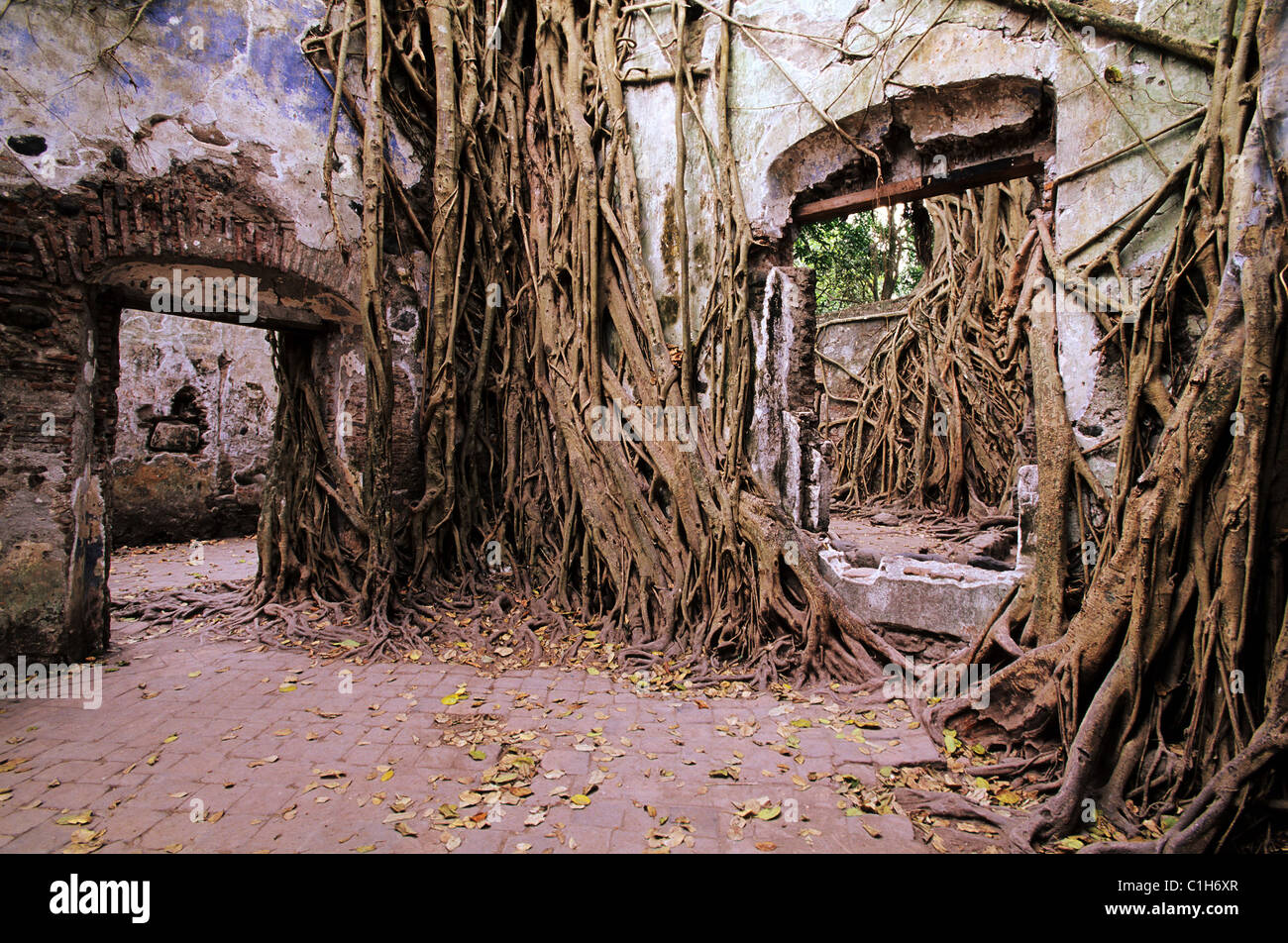 Herman cortes hi-res stock photography and images - Alamy