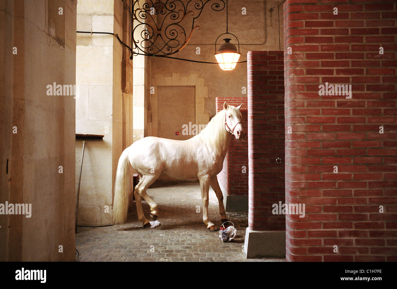 Stables versailles hi-res stock photography and images - Alamy