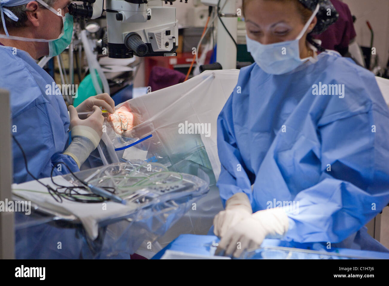 Ophthalmologist performing cataract surgery with surgical technologist ...