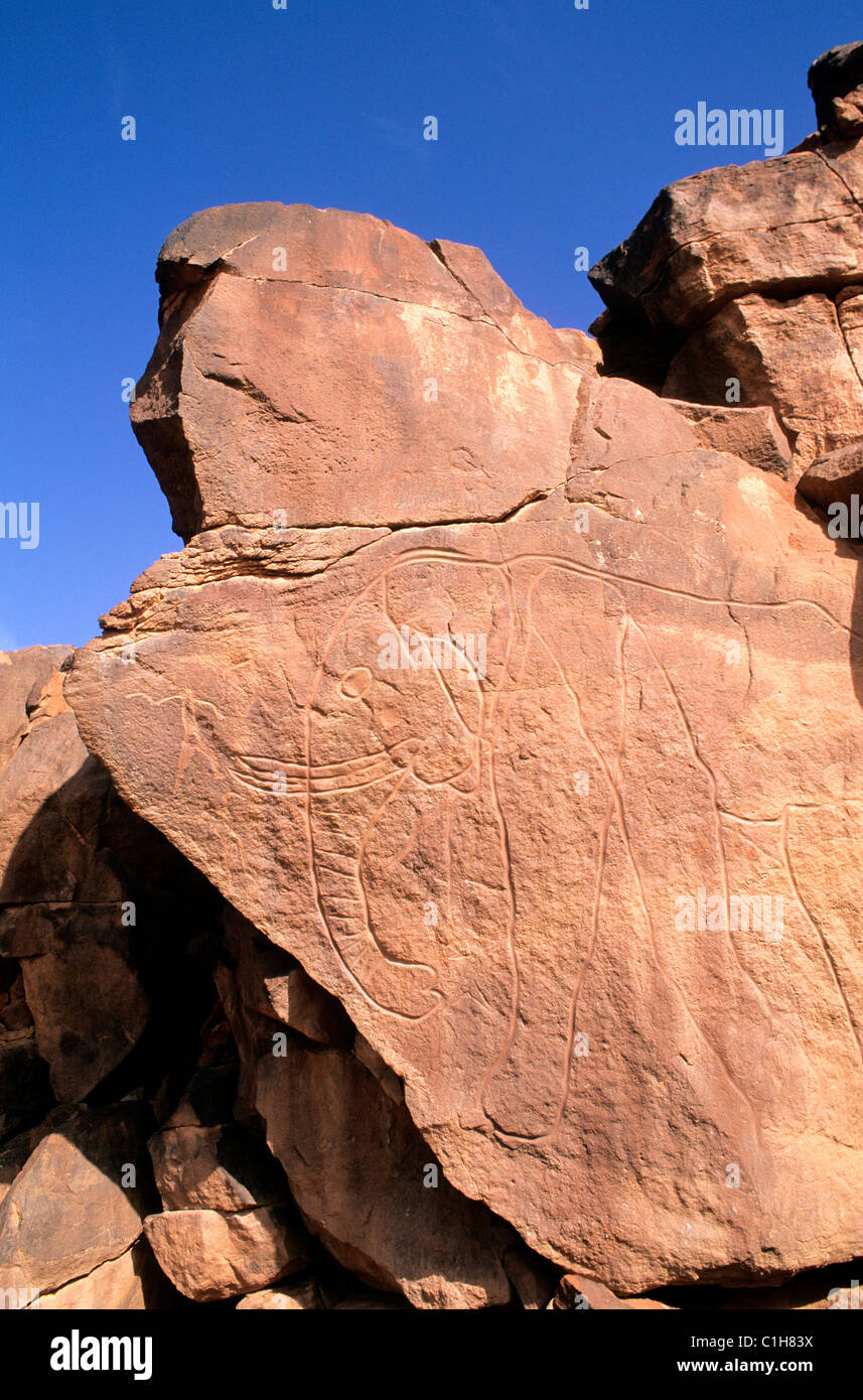 Libya, the Sahara, the Messak Settafet, the rupestrian carvings in the ...