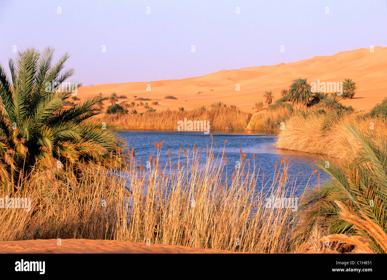 Libya, the Sahara, the Mafo salty lake in the heart of the Ubari sand ...