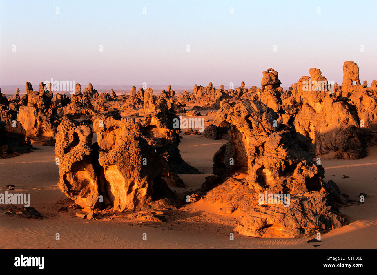 Libya forest hi-res stock photography and images - Alamy