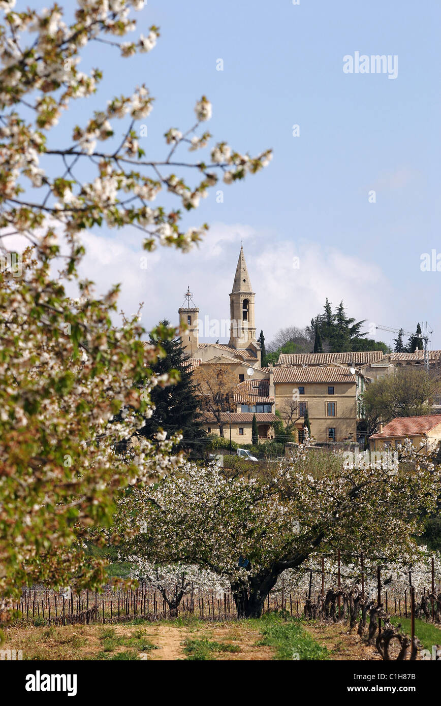 France, Gard, Saint Maximin village close to Uzes town Stock Photo - Alamy
