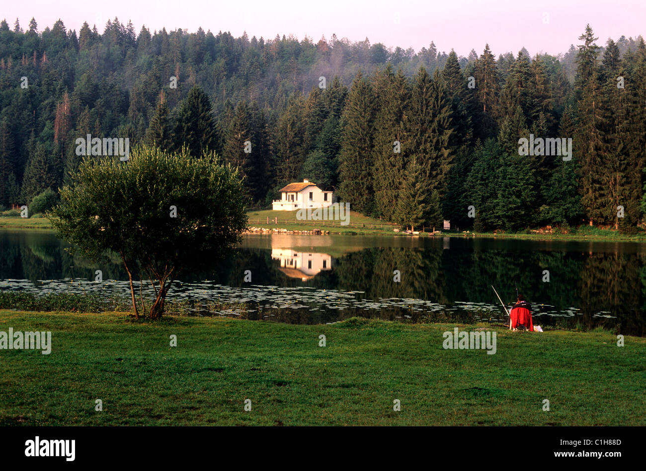 France, Ain, Genin lake Stock Photo - Alamy