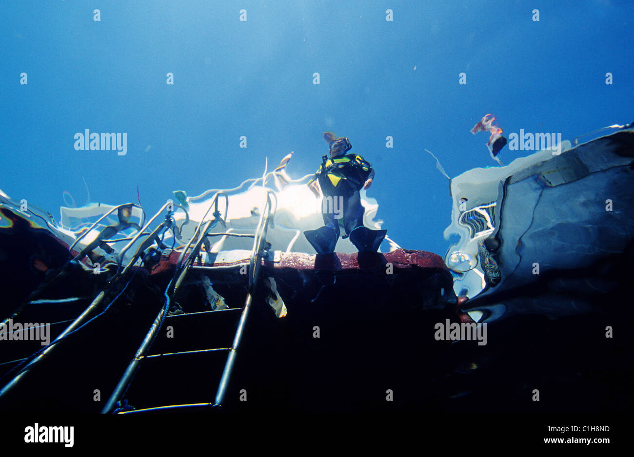 Egypt, Red Sea, diver on a boat seen below the surface Stock Photo - Alamy