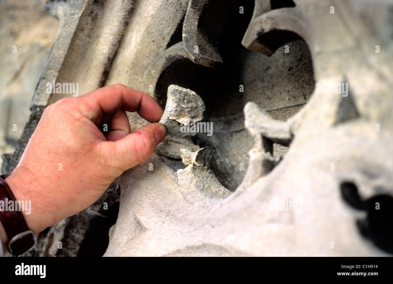 France, Paris, Notre Dame cathedral, pollution effects on the stone ...