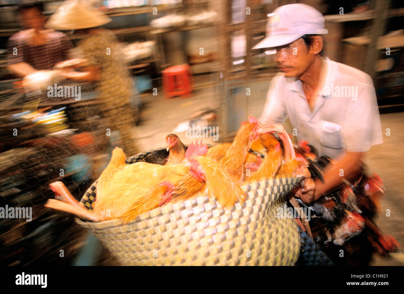 Vietnam, Mekong delta, poultries at the market of Can Tho Stock Photo ...