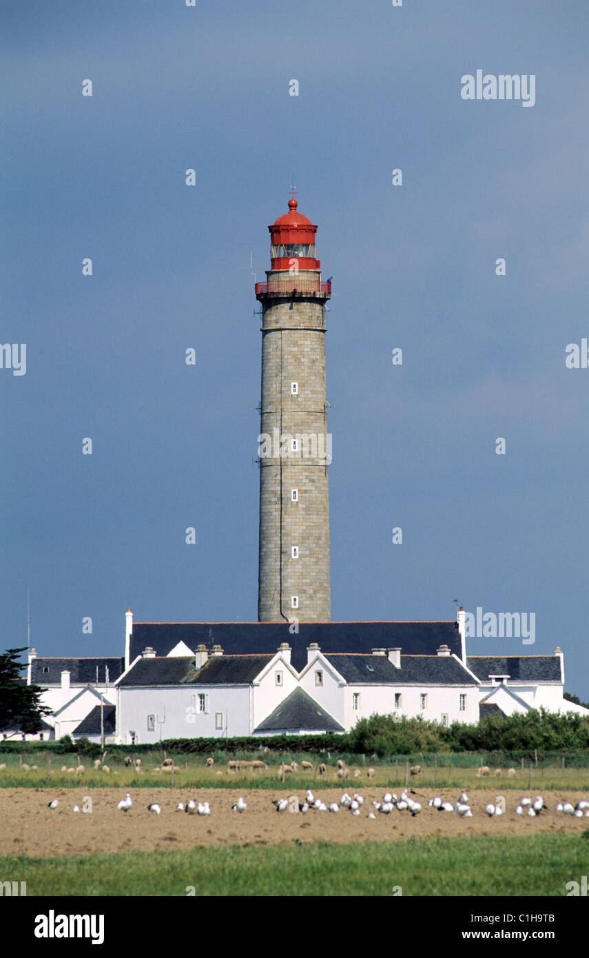 France, Morbihan, Belle Ile, Grand phare Stock Photo - Alamy