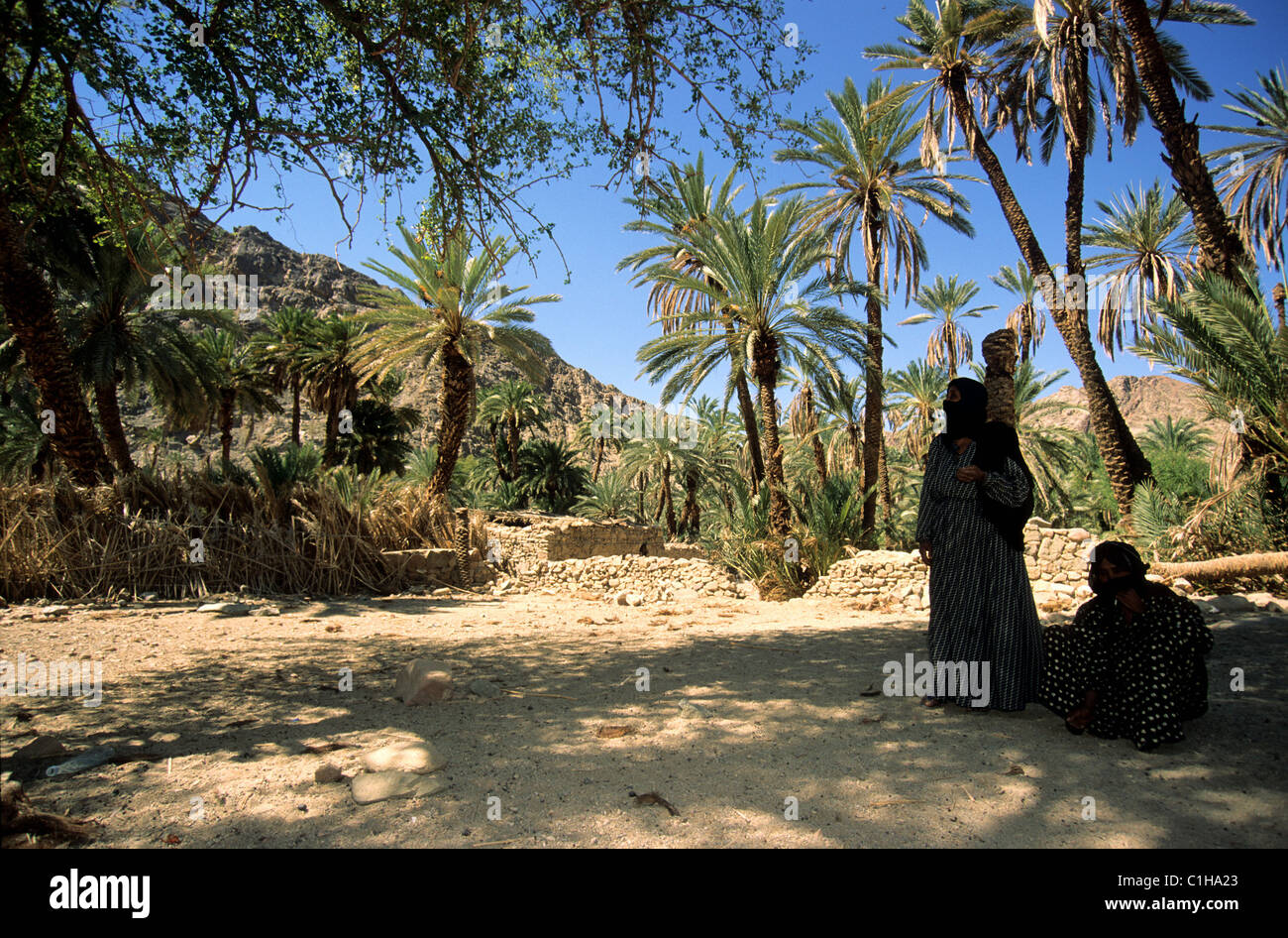 Egypt, desert of Sinaï, Bedouins in the oasis of Wadi Feiran Stock ...
