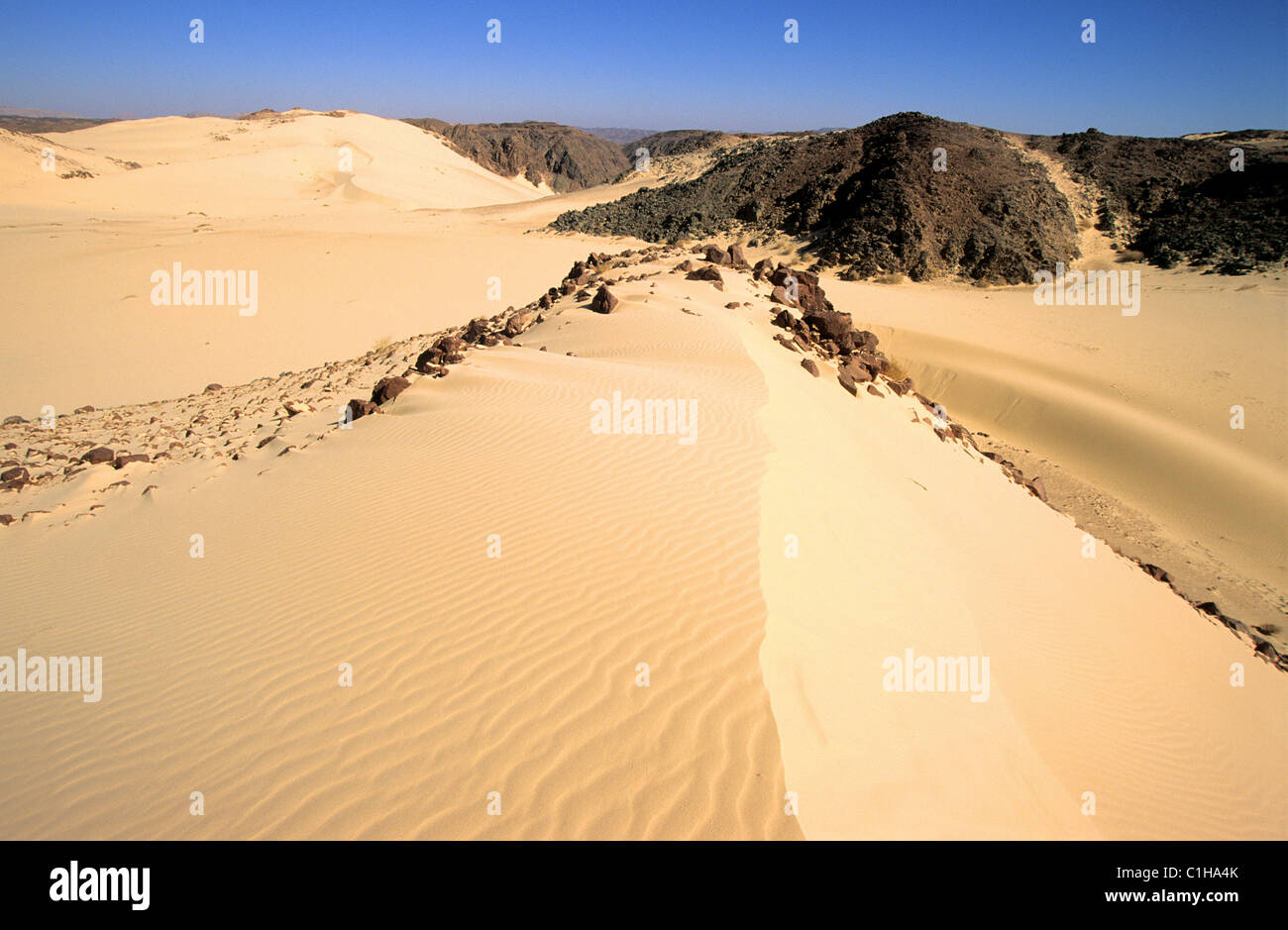 Egypt, Sinai desert Stock Photo - Alamy