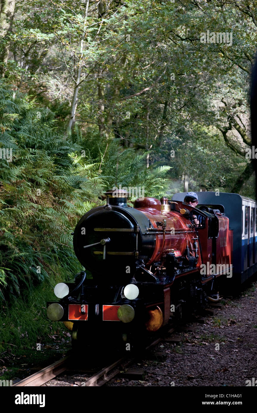 Narrow gauge steam engine river mite hi-res stock photography and ...