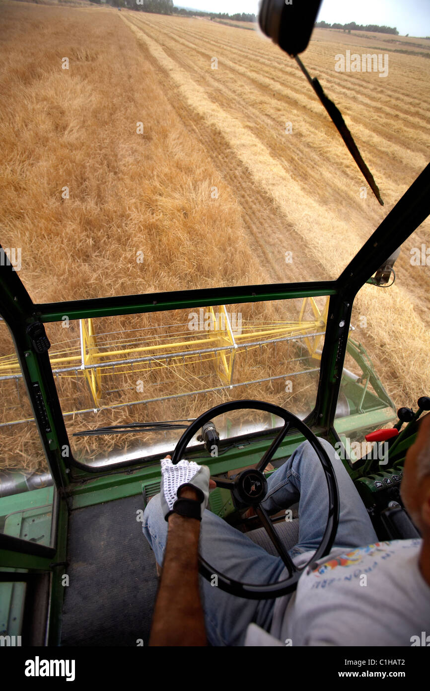 Cab of a combine harvester on field of wheat Stock Photo - Alamy