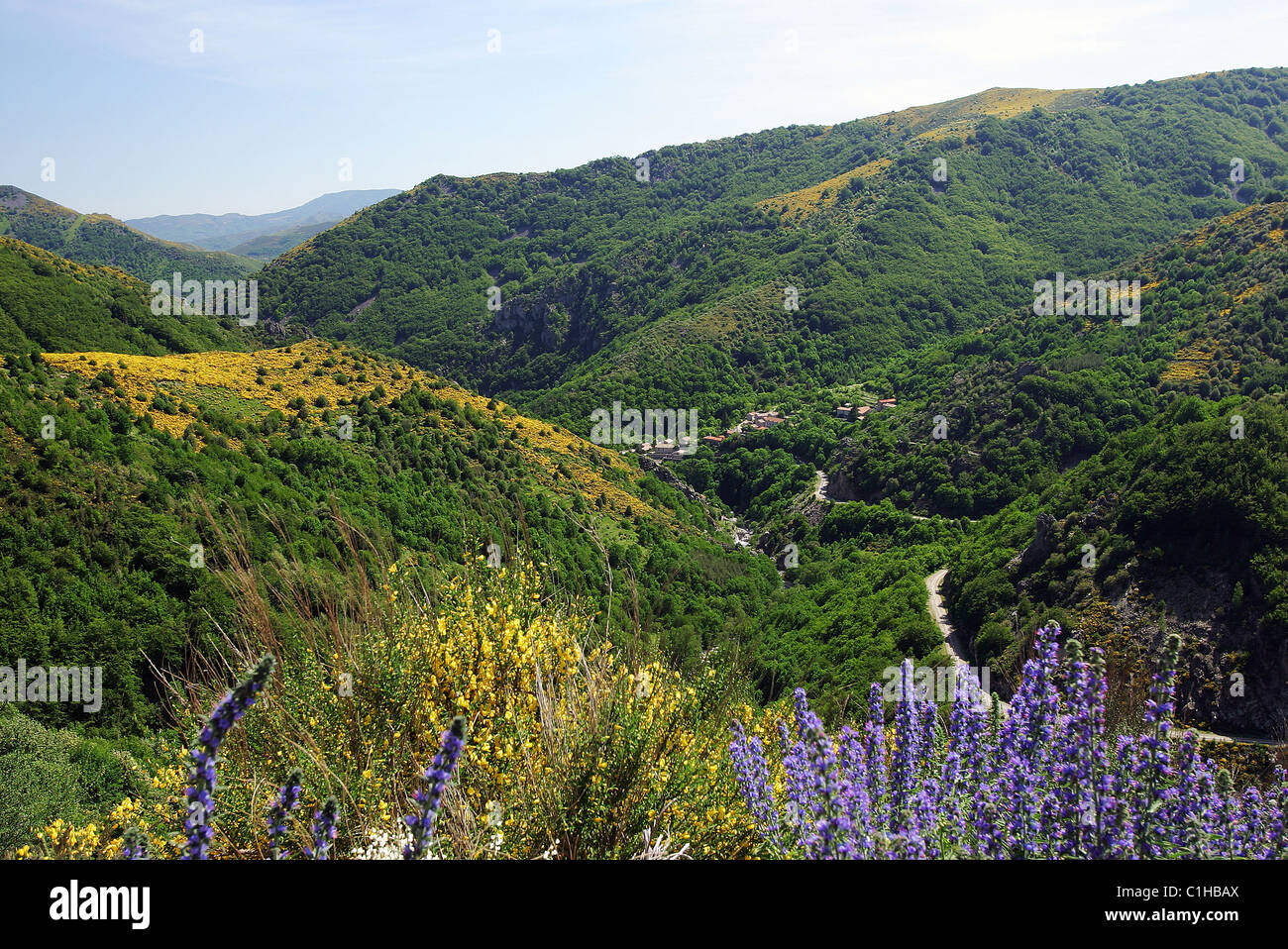 France, Ardeche, parc naturel regional des Monts d’Ardeche Stock Photo ...