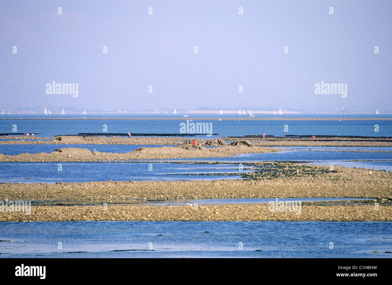 France, Charente Maritime, Re Island, Sainte Marie, Chauveau point ...