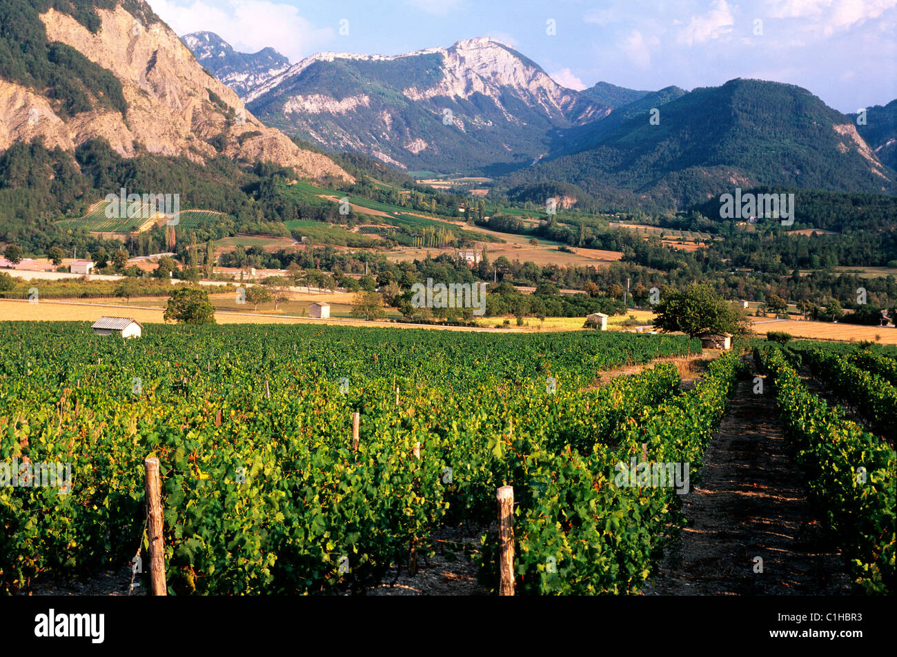 Diois region hi-res stock photography and images - Alamy