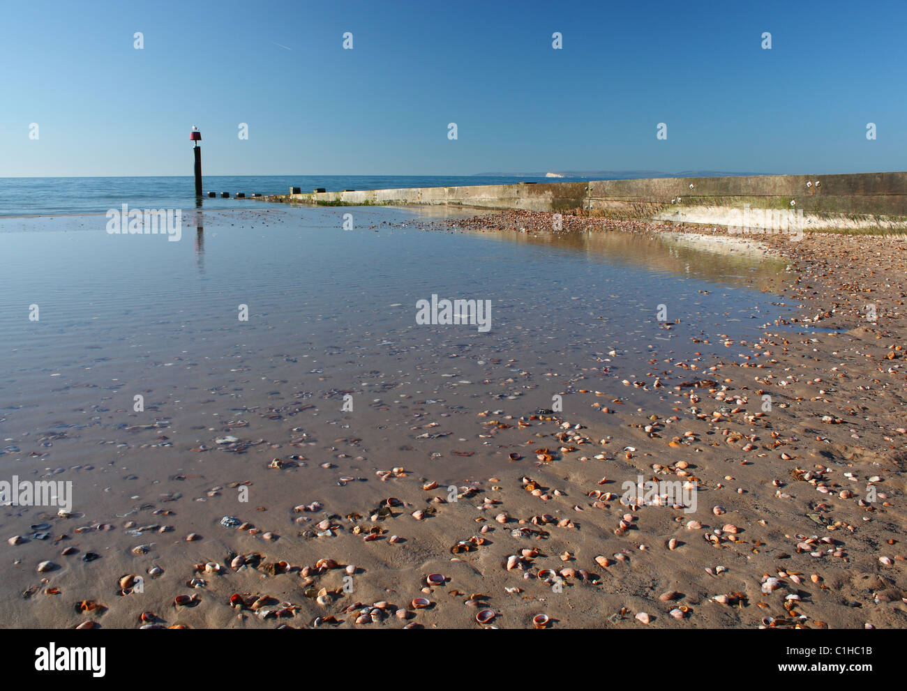 Sea erosion shells hi-res stock photography and images - Alamy