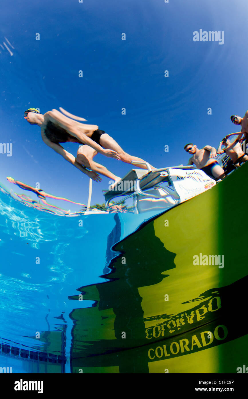 Male competitive swimmer on the starting blocks awaits the starting gun ...