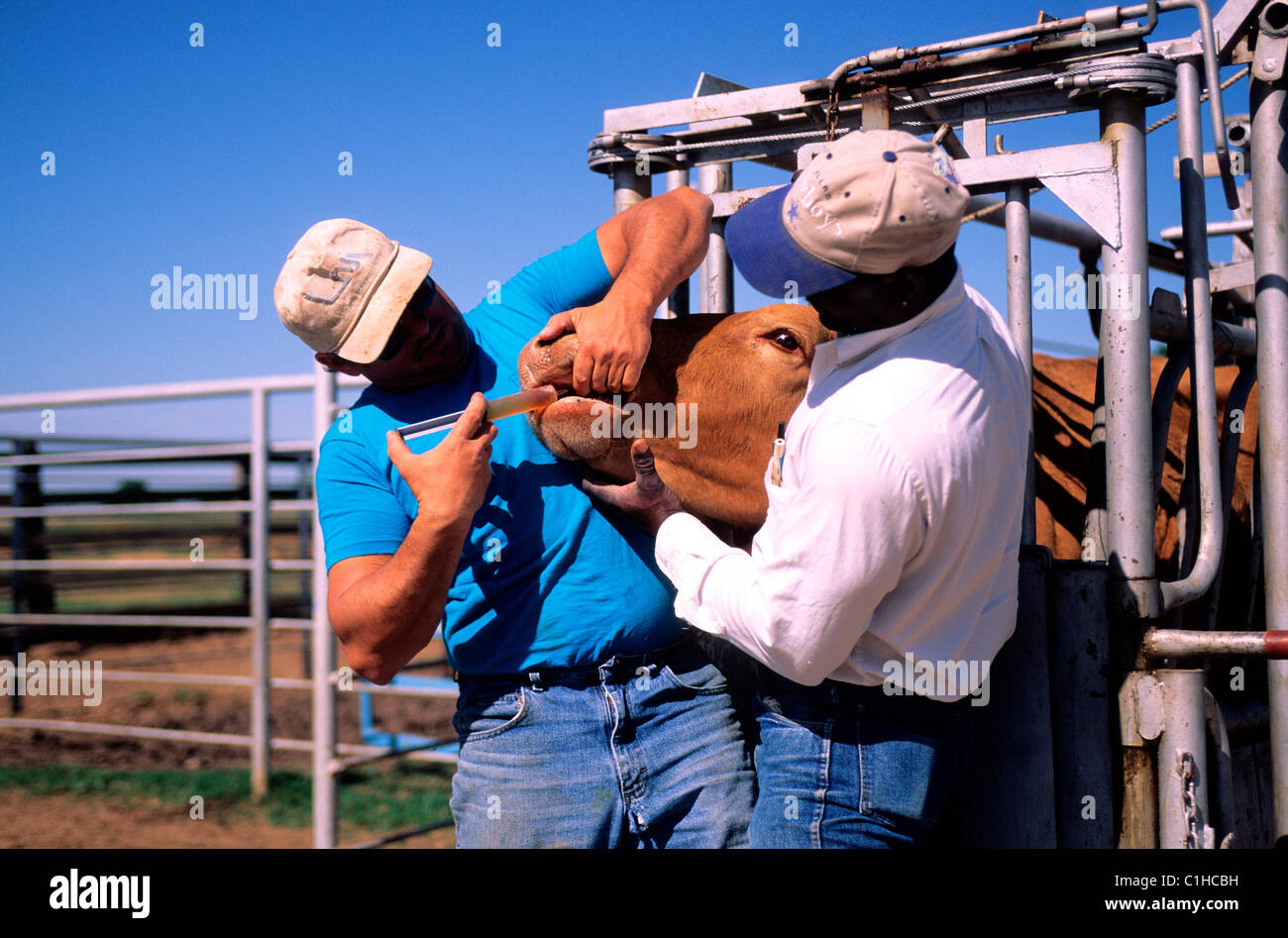 Houston ranch hi-res stock photography and images - Alamy