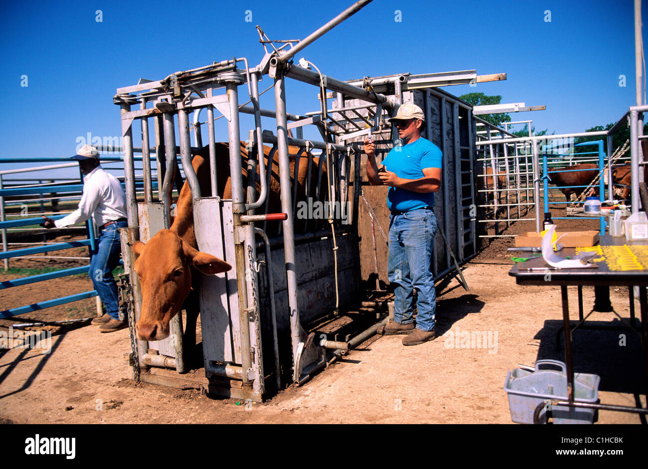Houston ranch hi-res stock photography and images - Alamy
