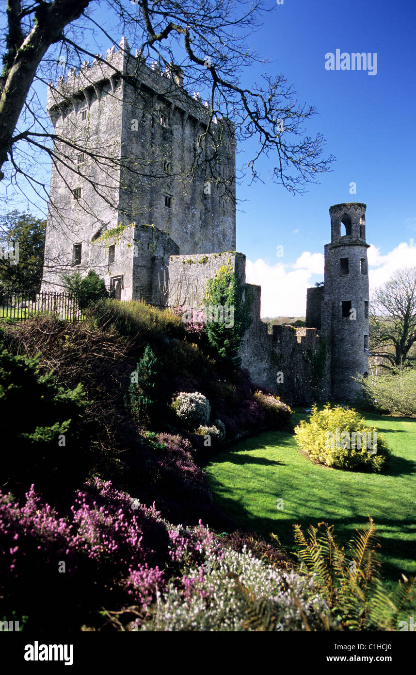 Republic of Ireland, county Cork Stock Photo - Alamy