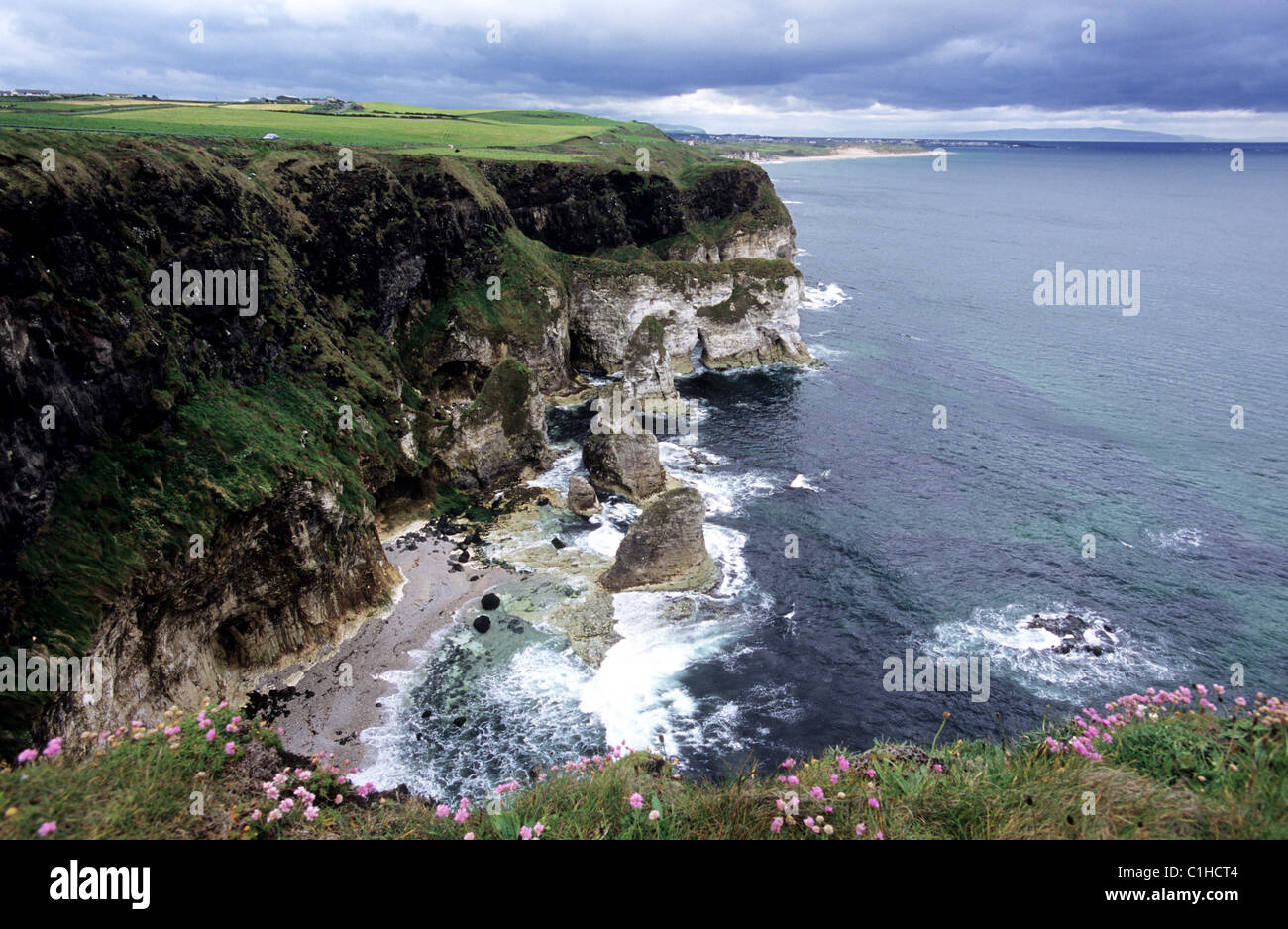United Kingdom, Northern Ireland, Antrim coast, the Giant's causeway ...