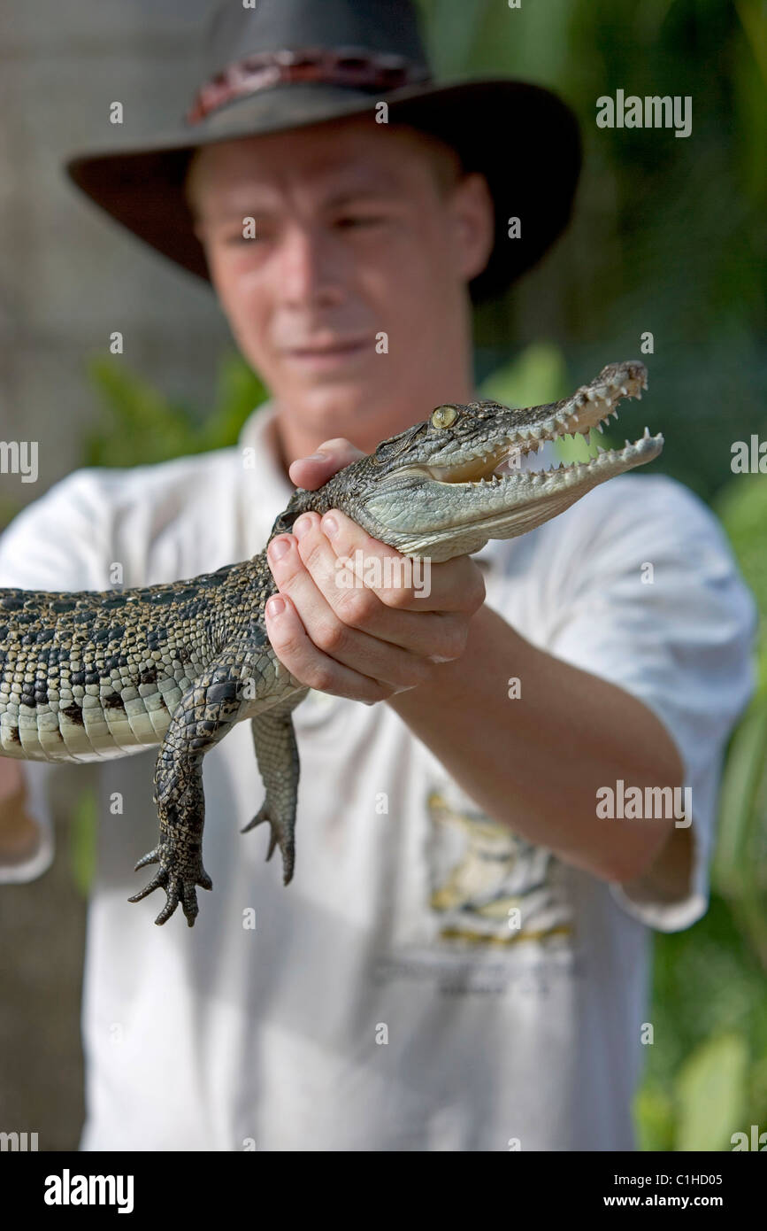 Australia, Northern Territory, Darwin, Crocodylos Park Stock Photo - Alamy