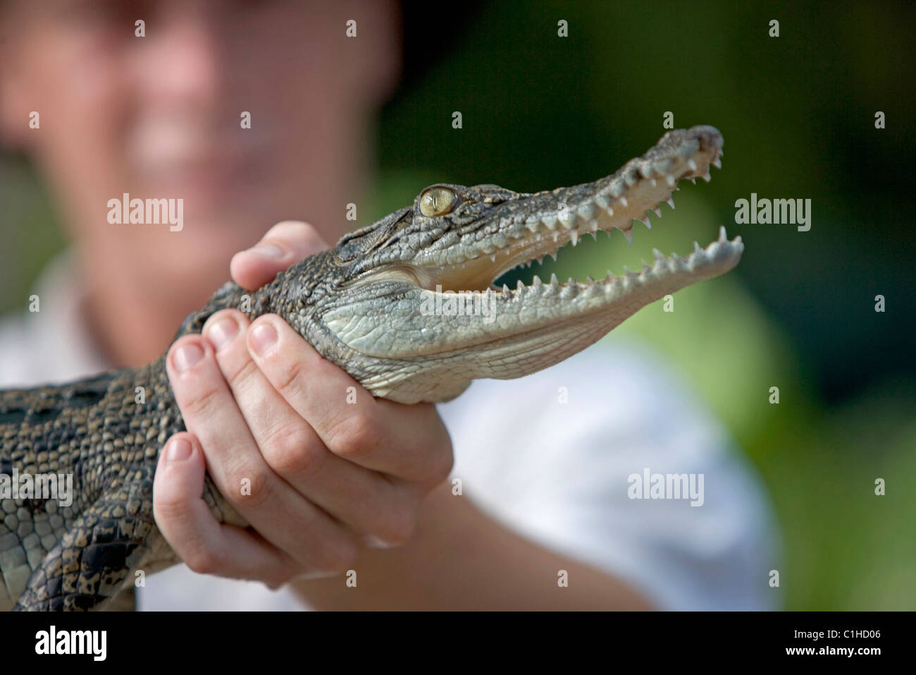 Australia, Northern Territory, Darwin, Crocodylos Park Stock Photo - Alamy