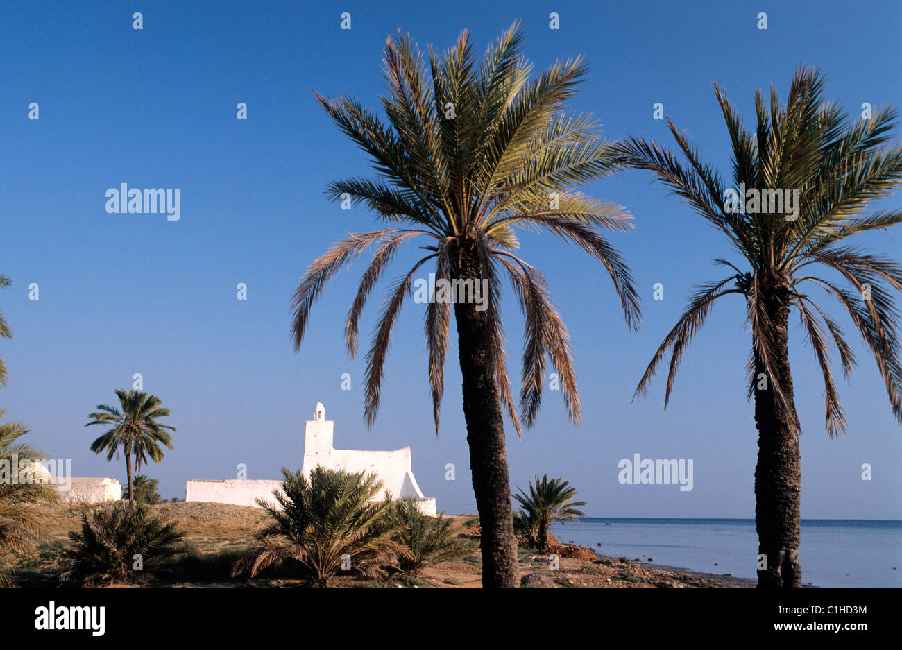 Tunisia, Island of Jerba, Guellala mosque Stock Photo - Alamy