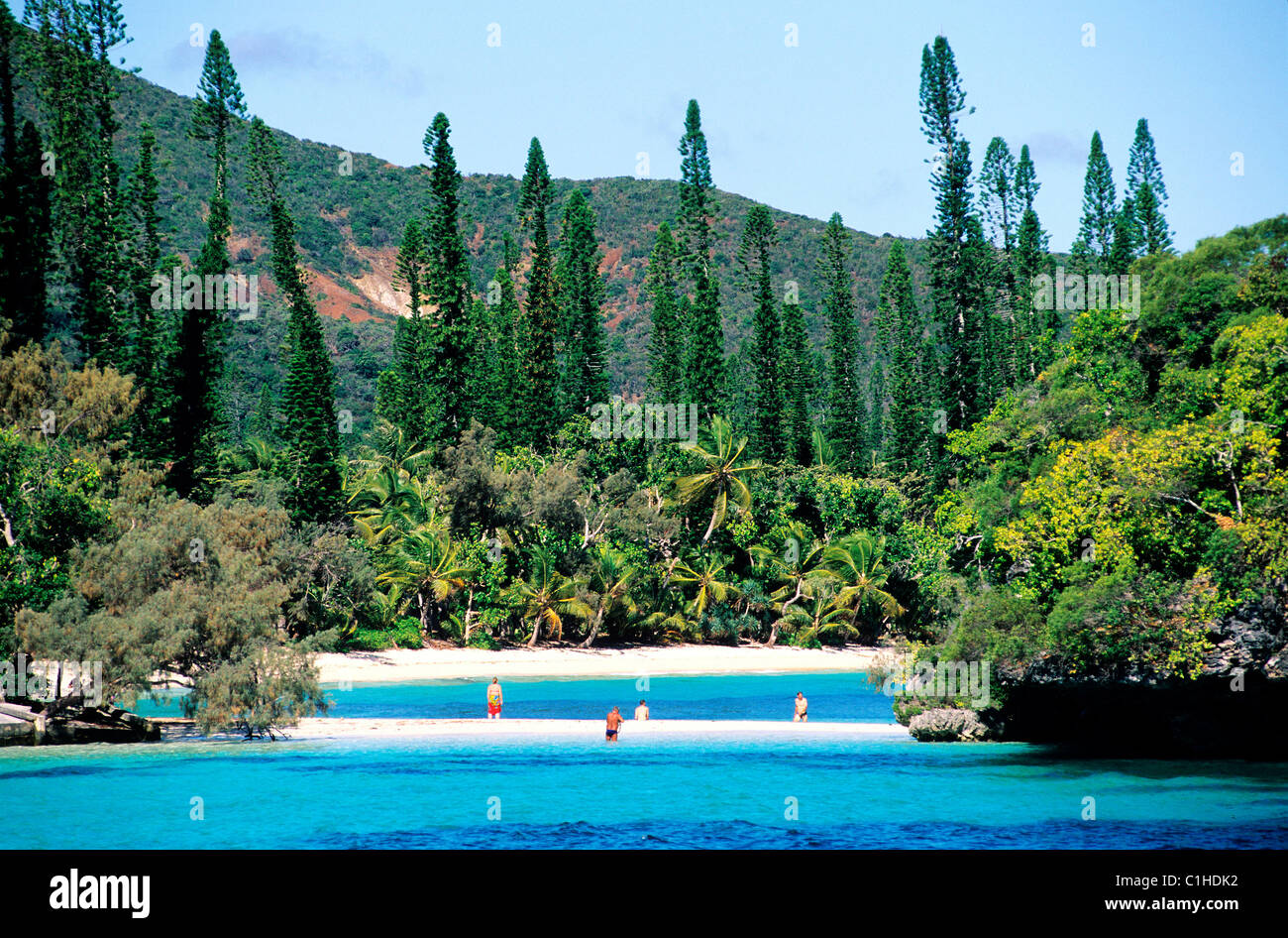 France, New Caledonia, Pine Island, Kanumera Bay Stock Photo - Alamy