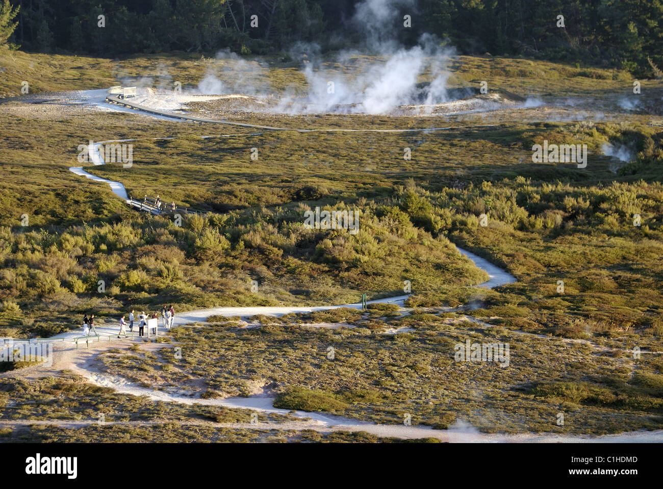 New Zealand, North Island, Taupo, the thermal area and volcanic of ...