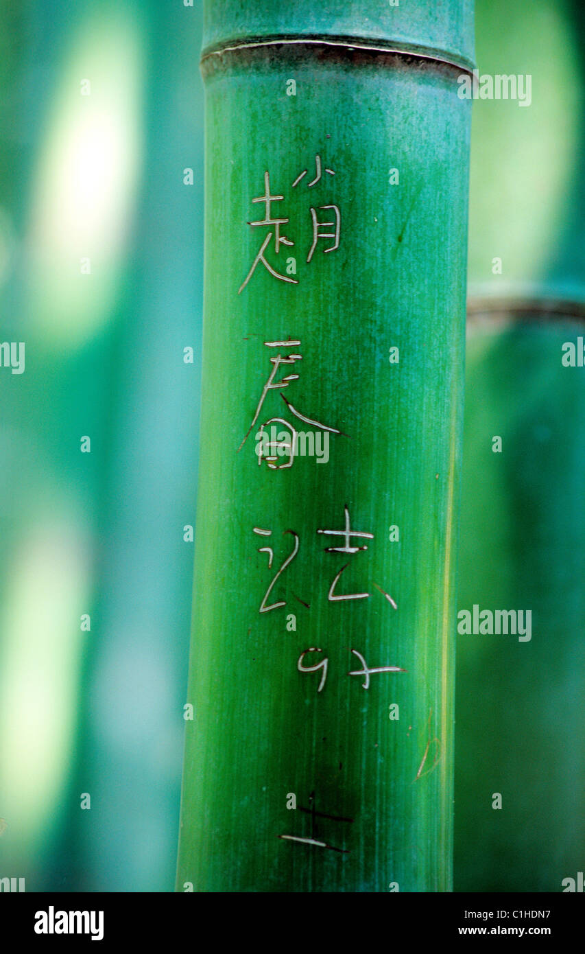 Chinese writing bamboo hi-res stock photography and images - Alamy