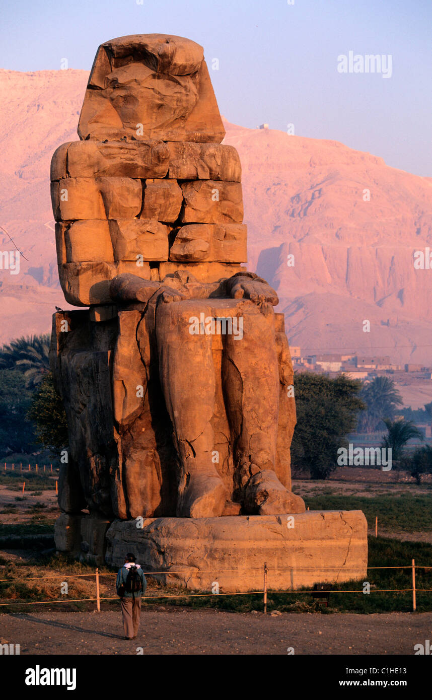 Egypt, Luxor, West Thebes, Memnon colossus Stock Photo - Alamy