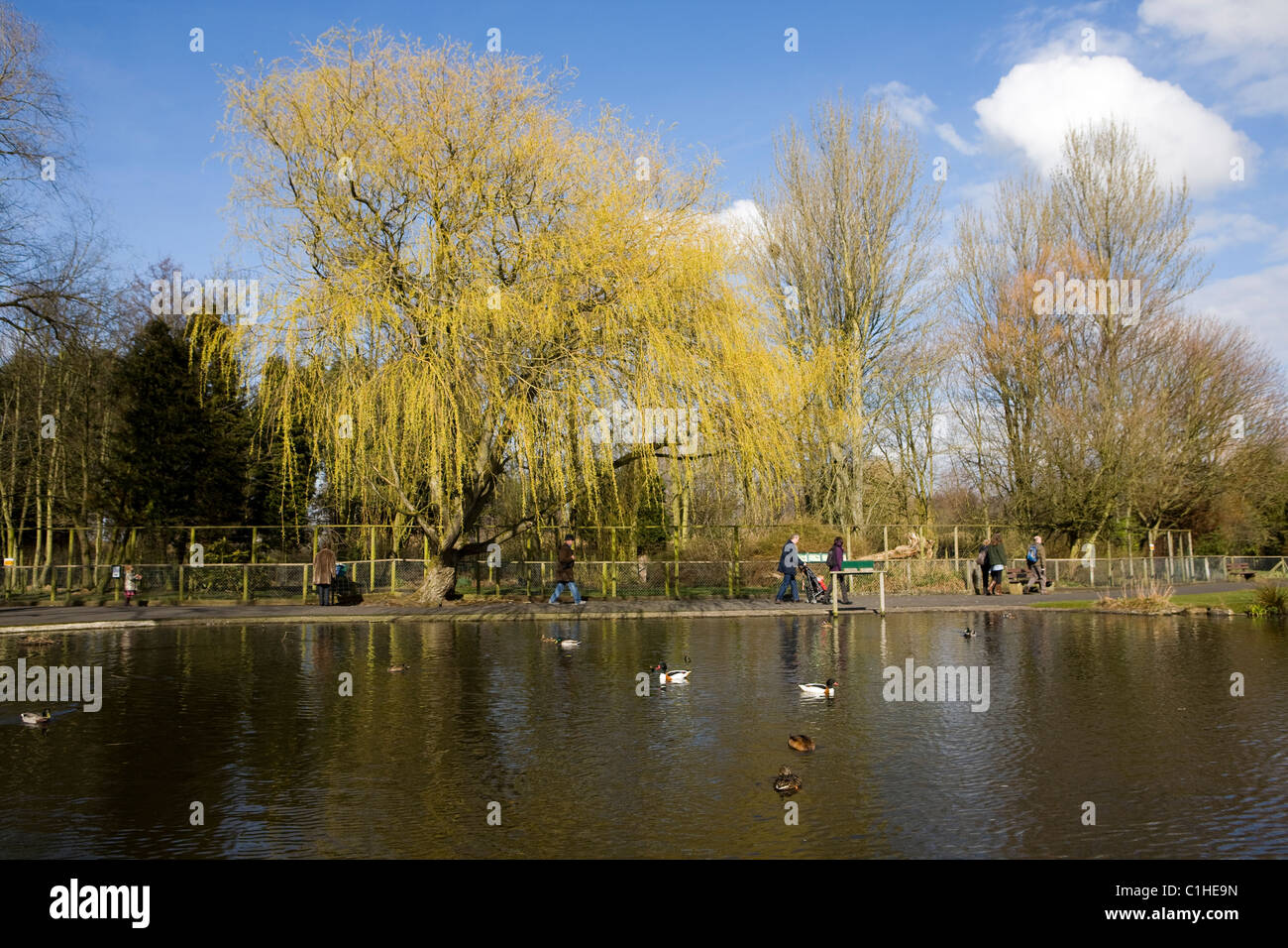 Martin Mere Wildfowl & Wetlands Trust, Burscough, near Southport ...
