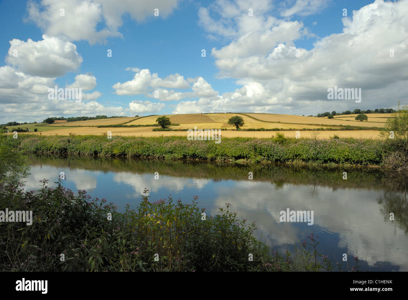 Harvest fields hi-res stock photography and images - Alamy