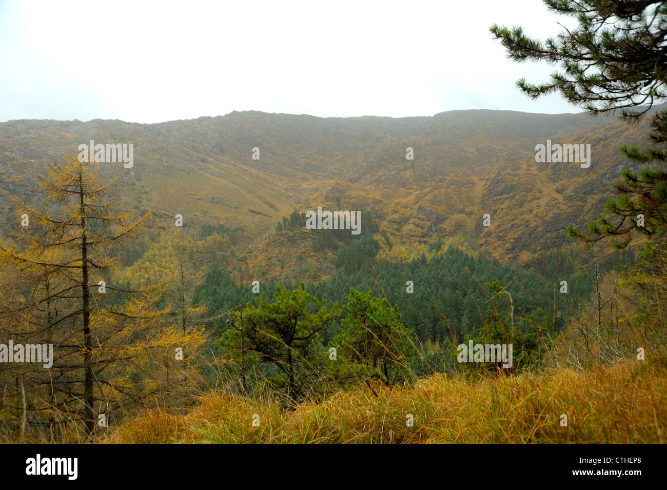 Guagan barra hi-res stock photography and images - Alamy