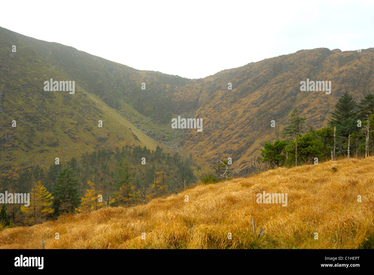 Guagán barra hi-res stock photography and images - Alamy