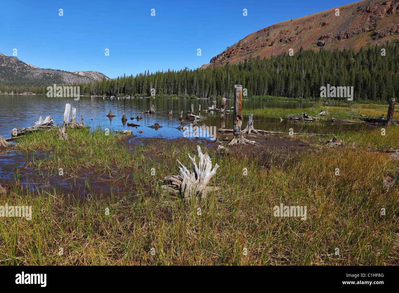 Shallow lakes hi-res stock photography and images - Alamy
