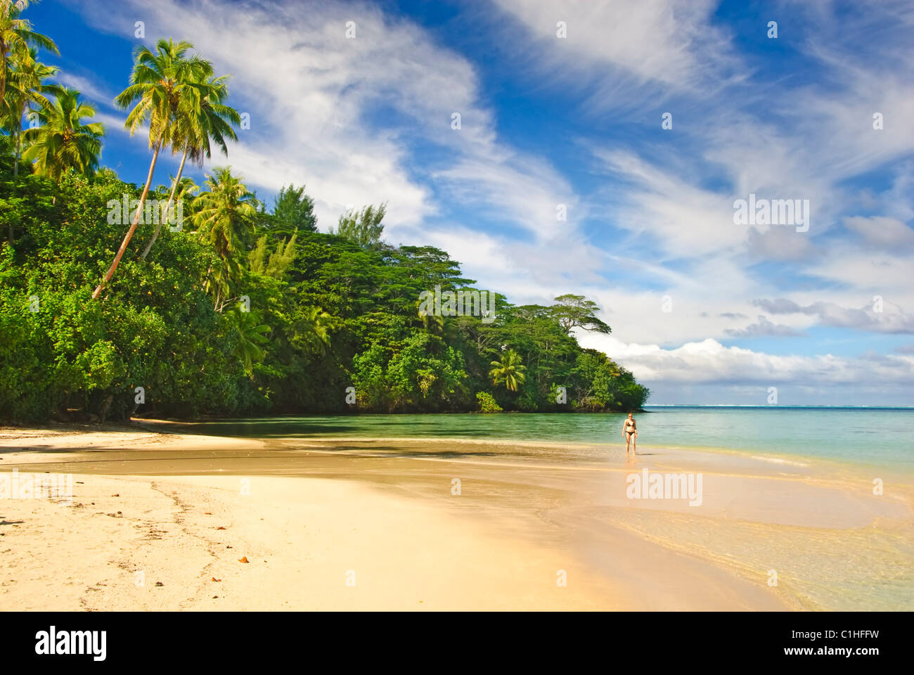 tropical beach in french polynesia Stock Photo - Alamy