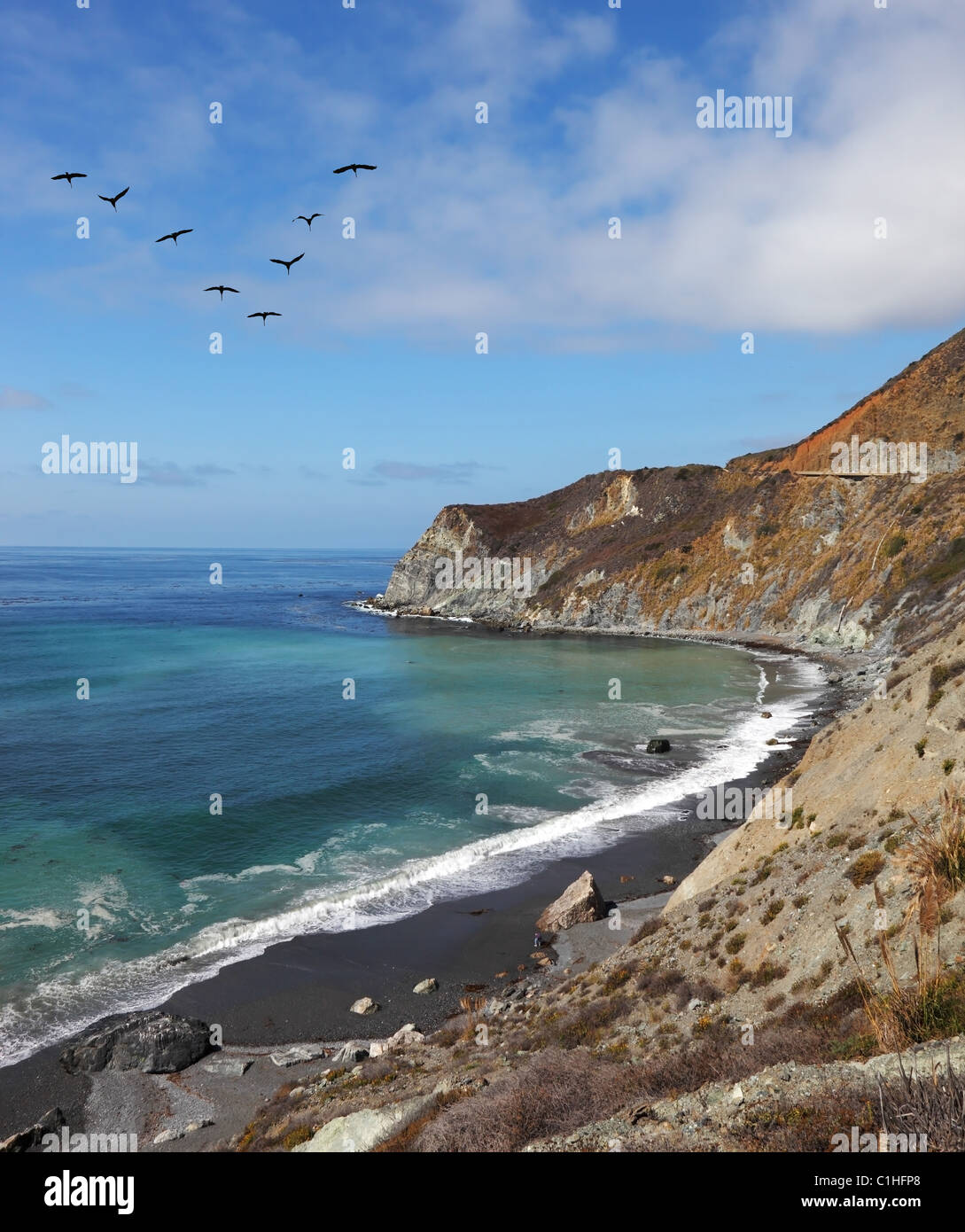 Triangular flight of gray pelicans Stock Photo - Alamy