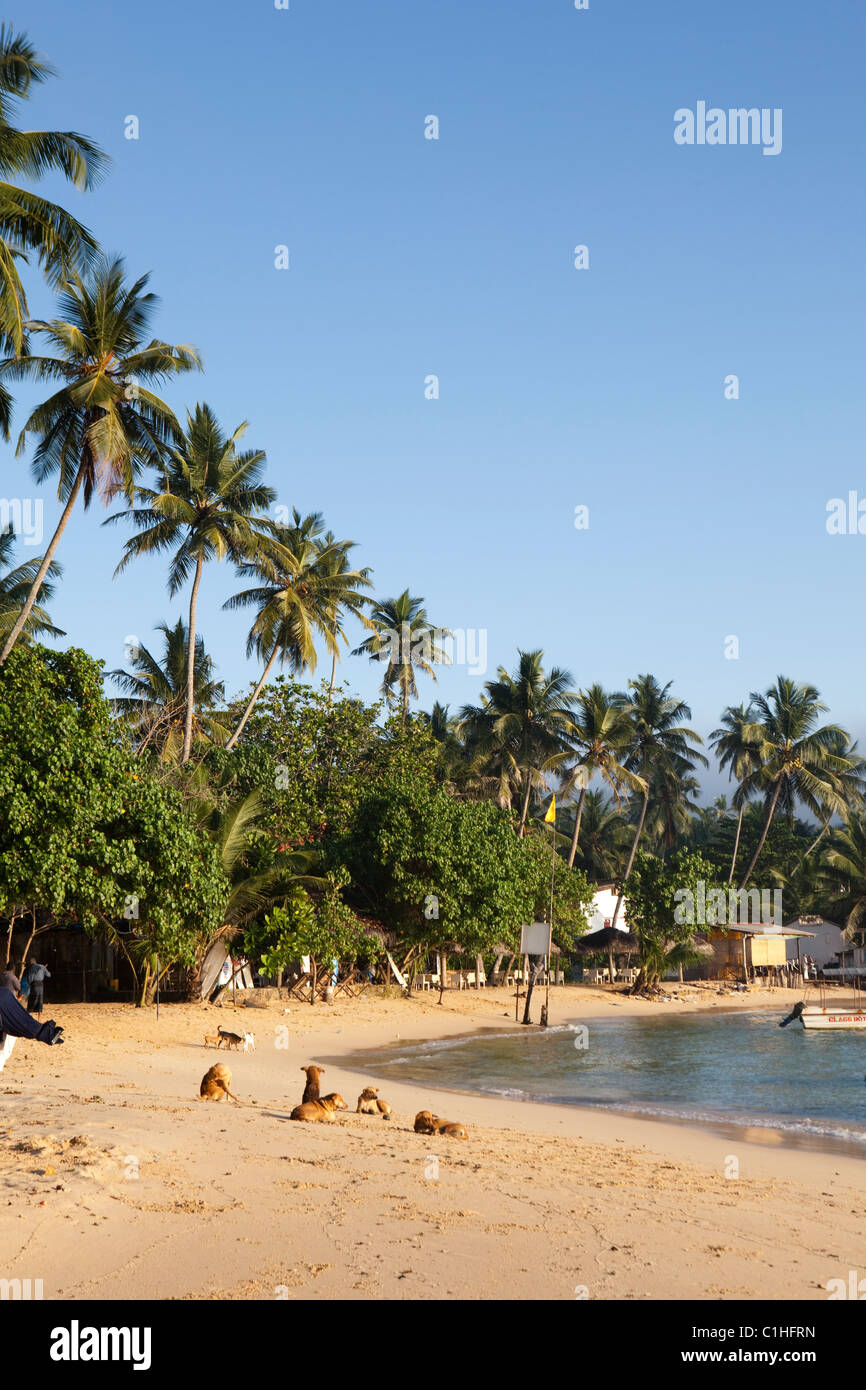 A view of Unawatuna beach on the South coast of Sri Lanka Stock Photo ...