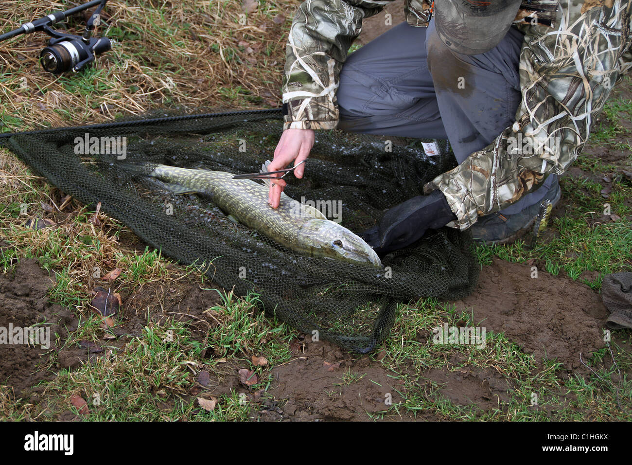 Return with the catch hi-res stock photography and images - Alamy