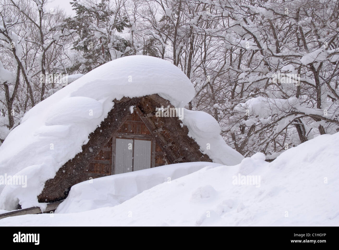 Old-style thatch-roofed 'gasho' houses in Shirakawa, Japan Stock Photo ...
