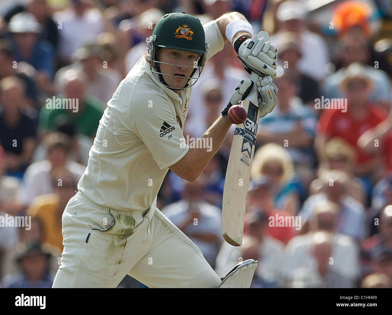 Shane Watson Batting