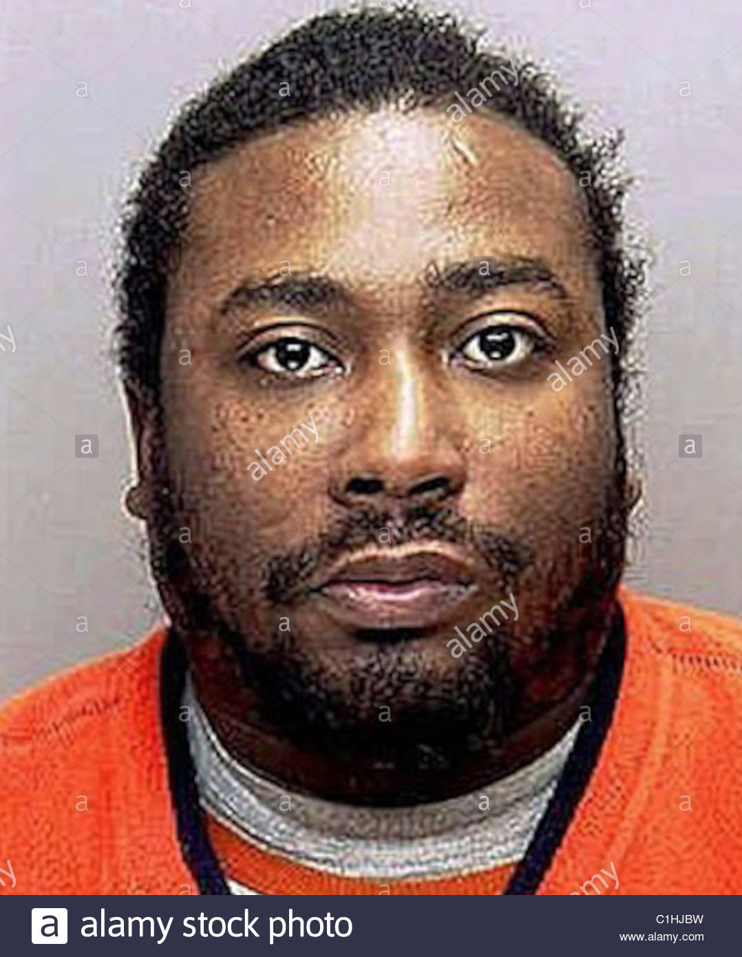 Dog Mug Shot Stock Photos & Dog Mug Shot Stock Images - Alamy