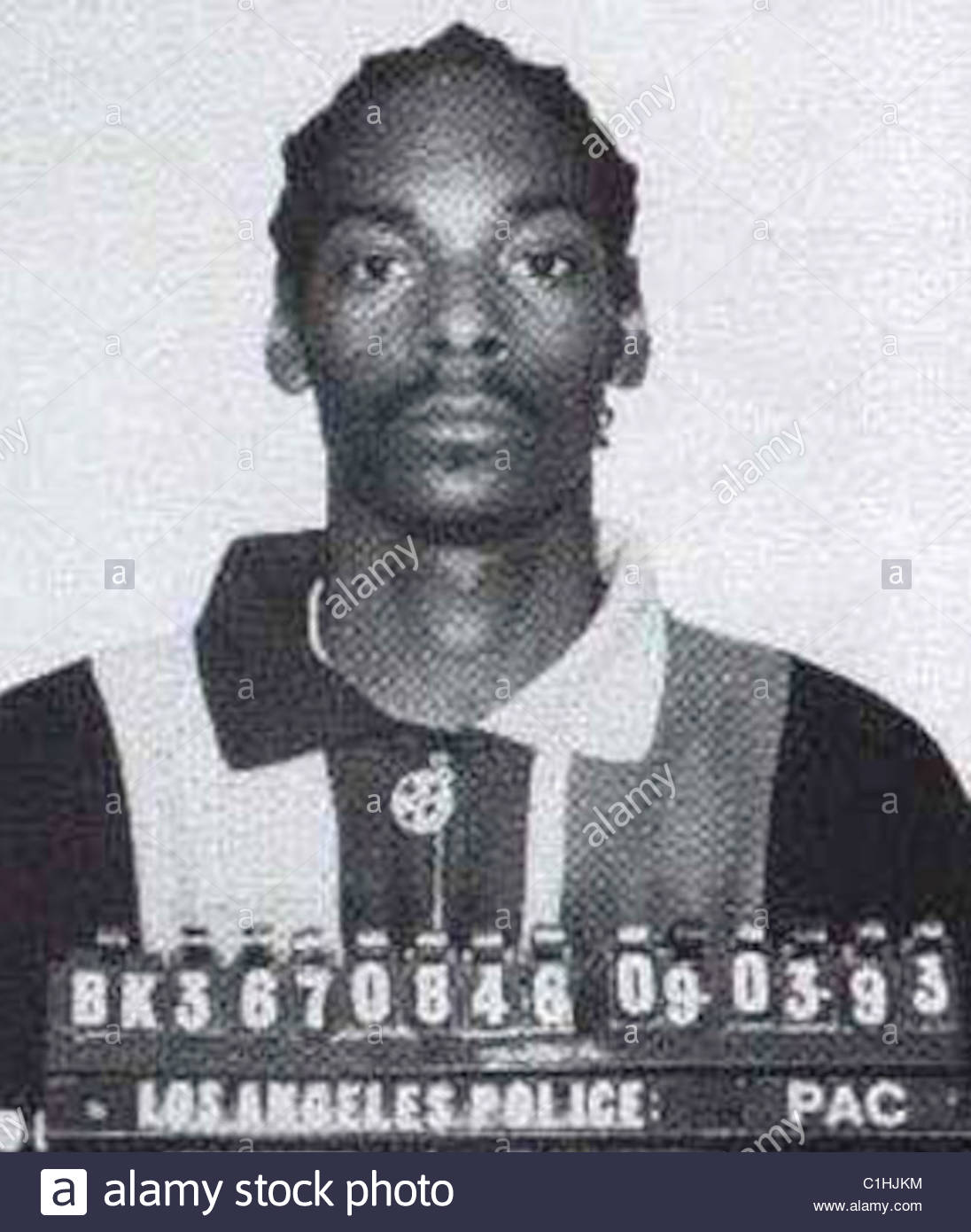 Dog Mug Shot Stock Photos & Dog Mug Shot Stock Images - Alamy