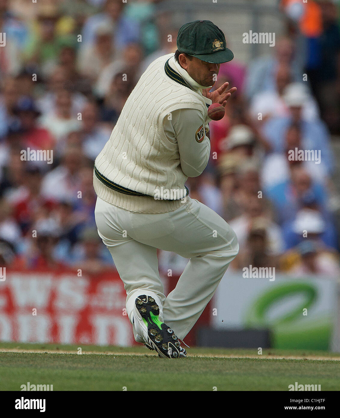 Matt prior catch hi-res stock photography and images - Alamy