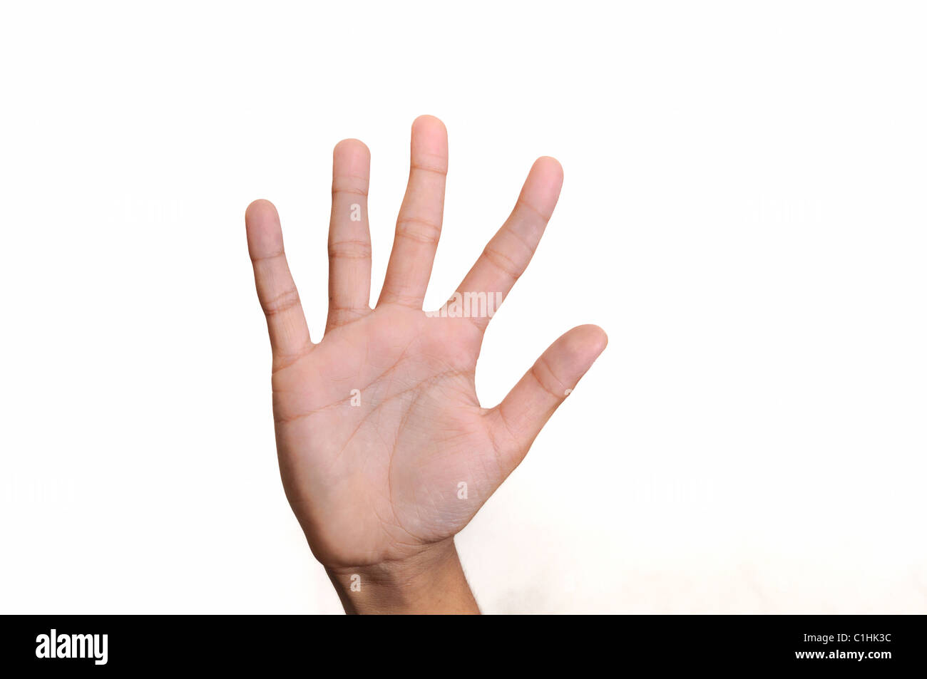 Arm and five fingers isolated on a white background Stock Photo - Alamy