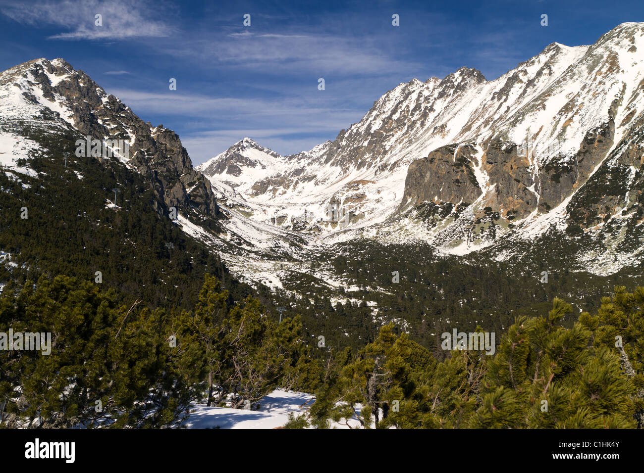 Winter valley view pine hi-res stock photography and images - Alamy