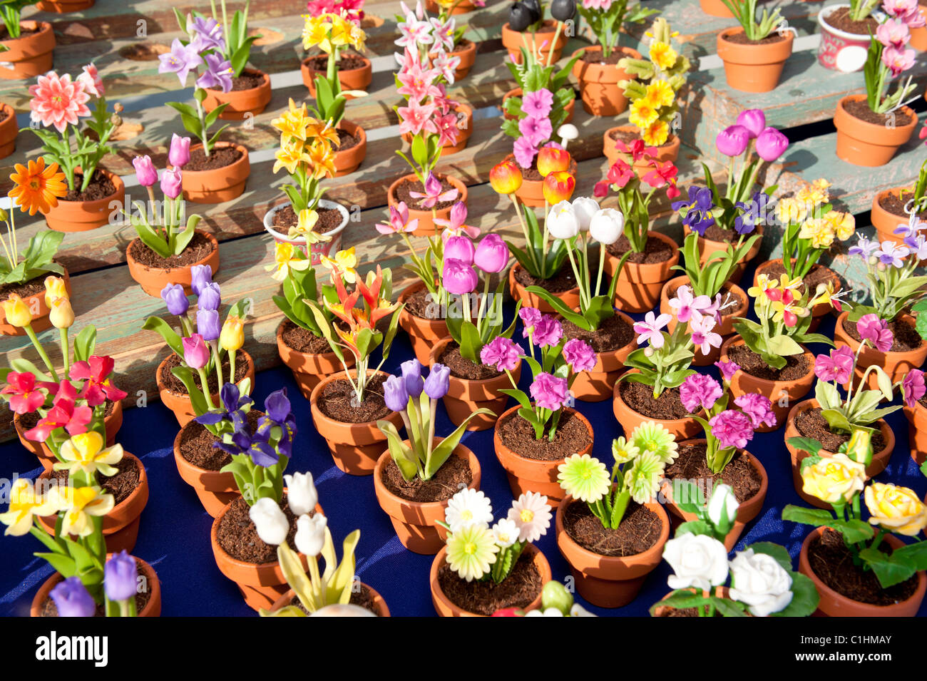 An assortment of colorful household potted plants on display and for ...